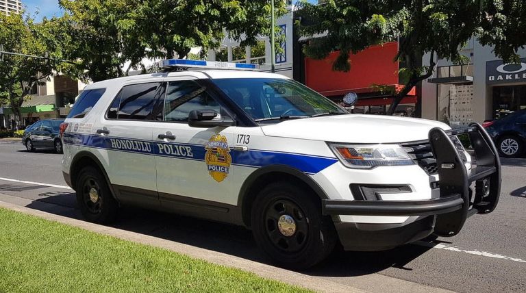 Community Support Services – MI-HOME Hawaii